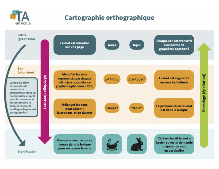 Orthographic Mapping (French) copy - TA@l’école